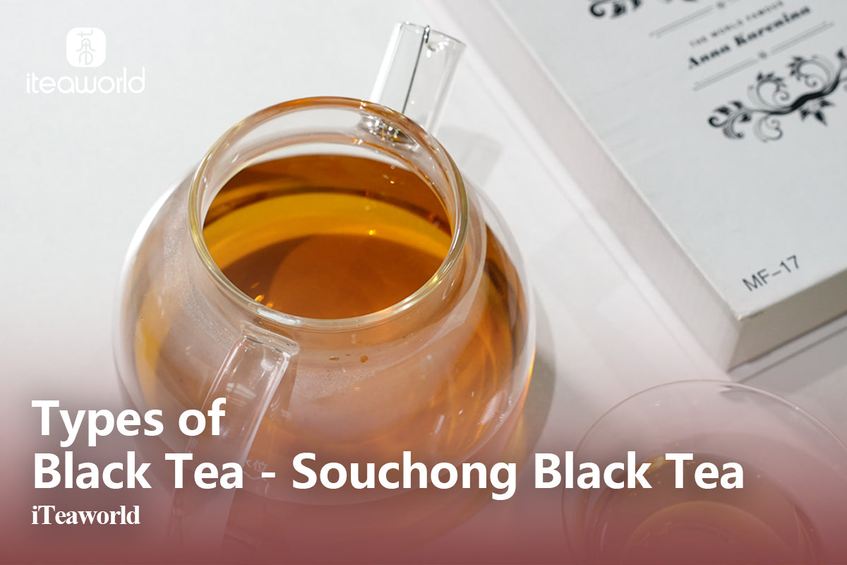 All About Souchong Black Tea: Origin, Production, Brewing Method