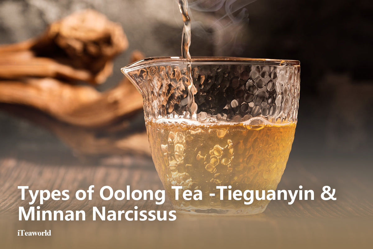 Tieguanyin & Minnan Narcissus Detailed Guide | Tea Choice