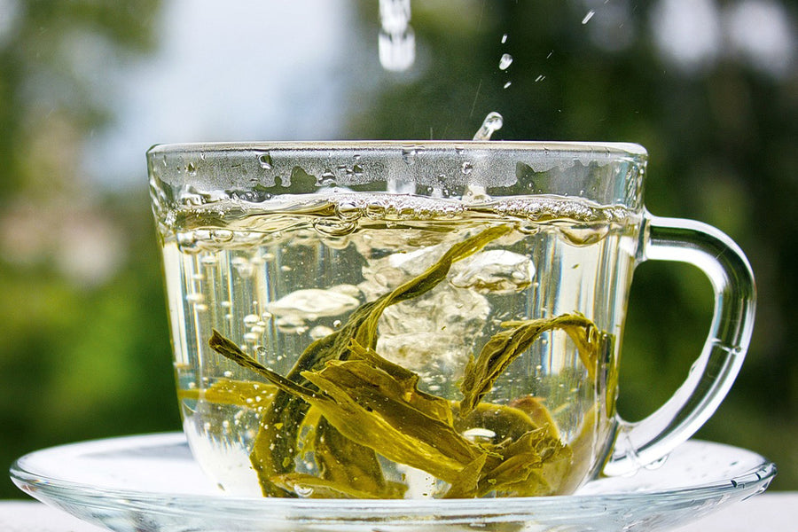 How to Brew Green Tea Correctly - Step by Step with Pictures – iTeaworld