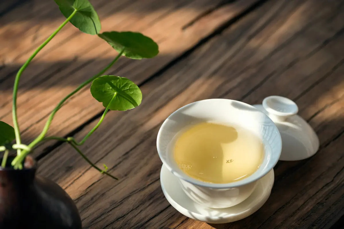 Oolong Tea and Caffeine: What You Need to Know – iTeaworld
