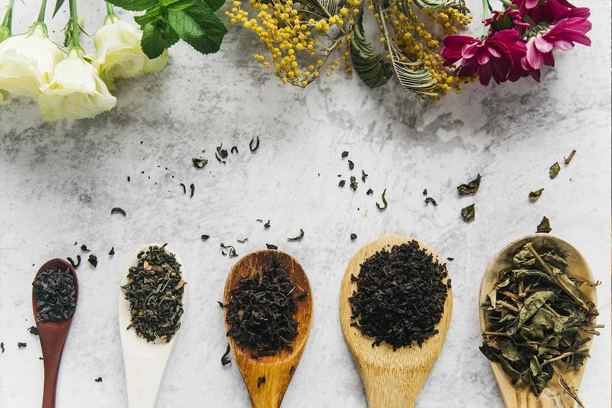 The 5 Best Chinese Wild Tea in 2024 | iTeaworld