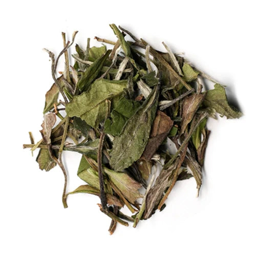 Premium White Tea: Delicate Flavor & Health Benefits | iTeaworld