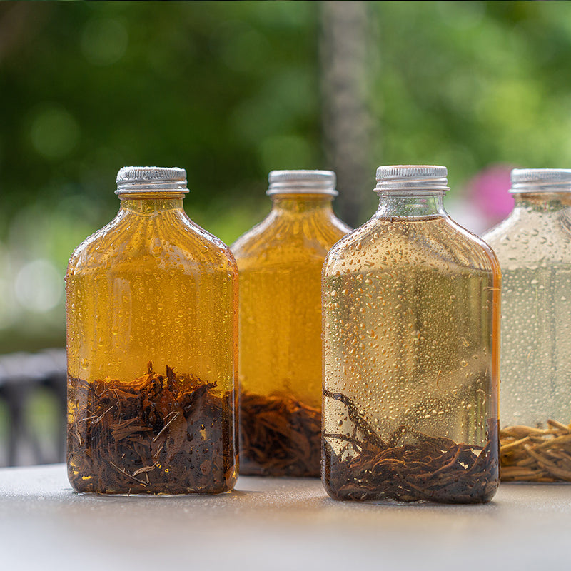 Cold Brew Tea | Best Cold Brew Loose Leaf Tea Starter Set