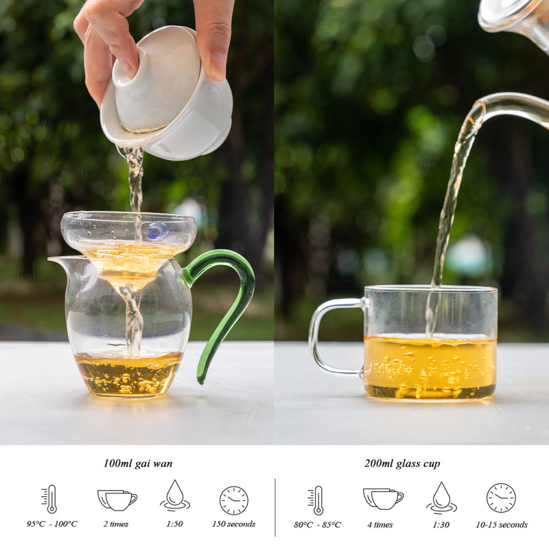 Best Green Tea Sampler | 6 in 1 Classic Loose Leaf Tea - iTeaworld