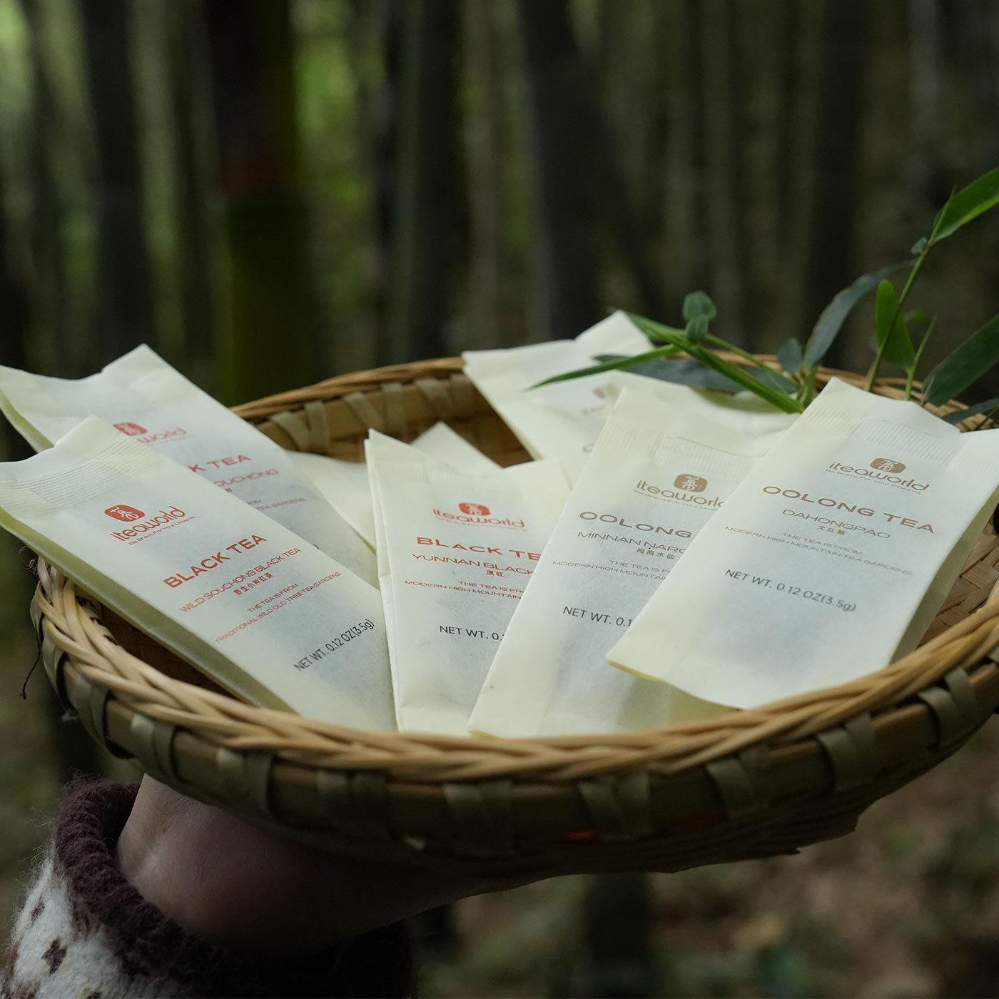 Oolong Tea Collections-iTeaworld